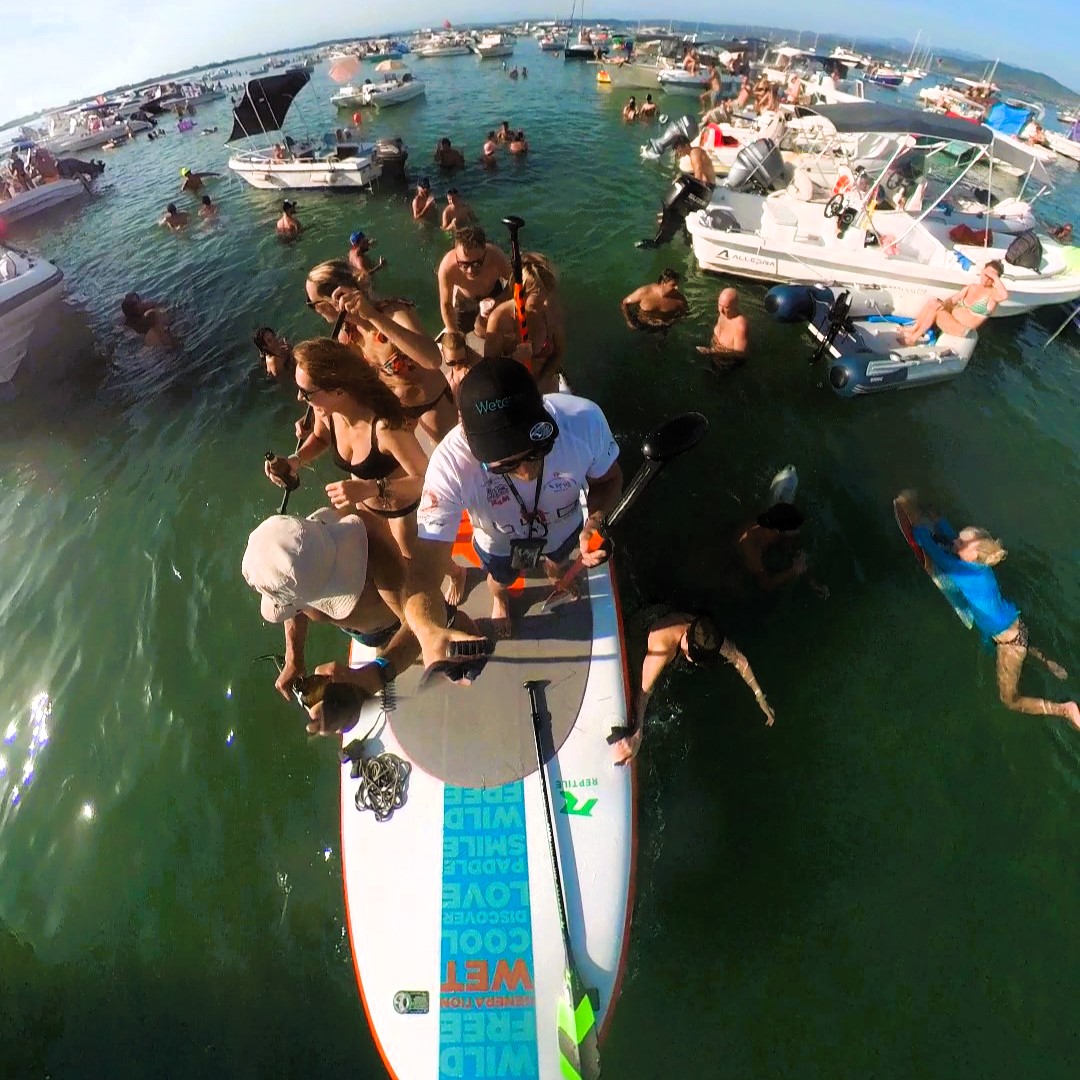 How we Big Party. - ReptileSports