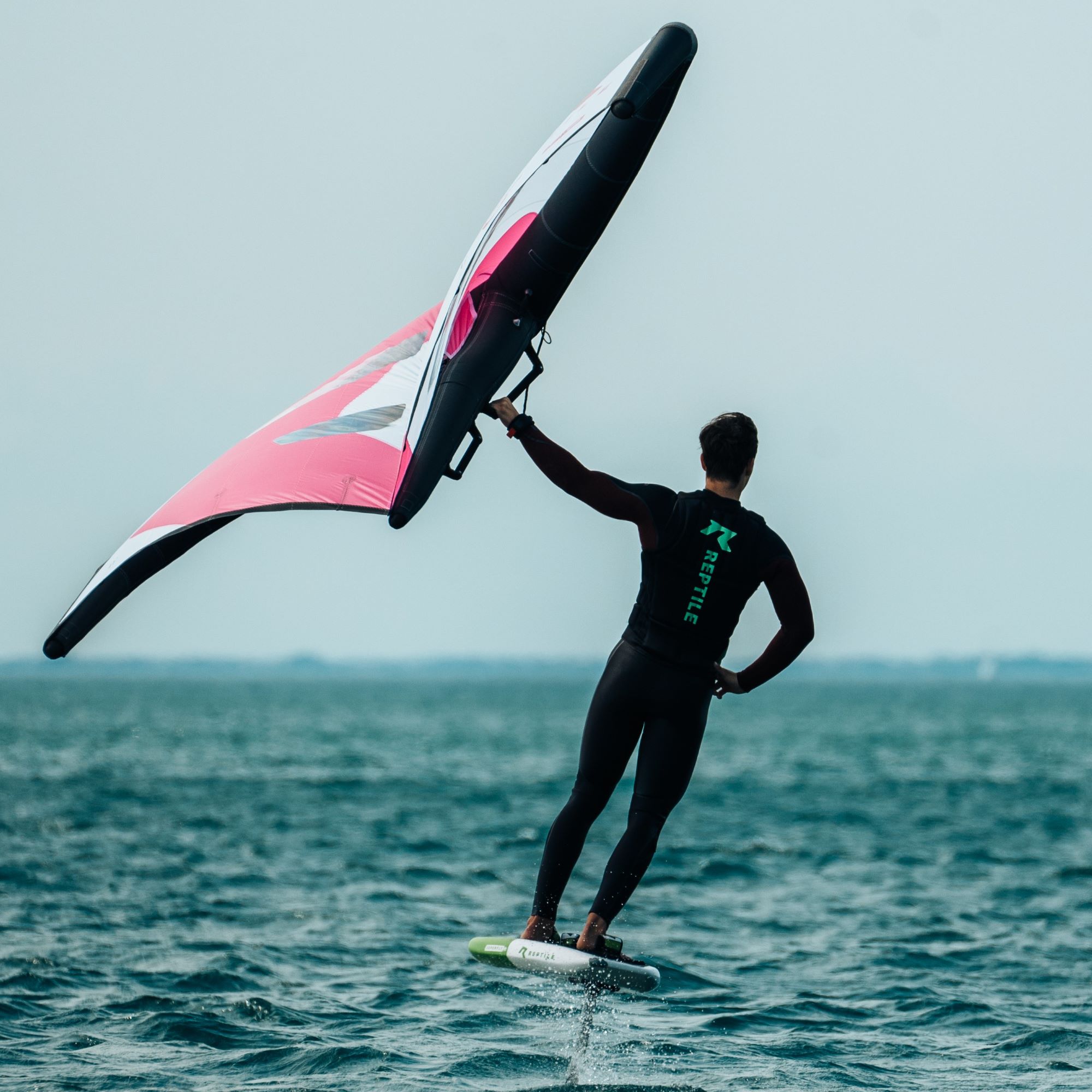 New Wing Range 2025 Online! Wing Bora Boom Handle - ReptileSports