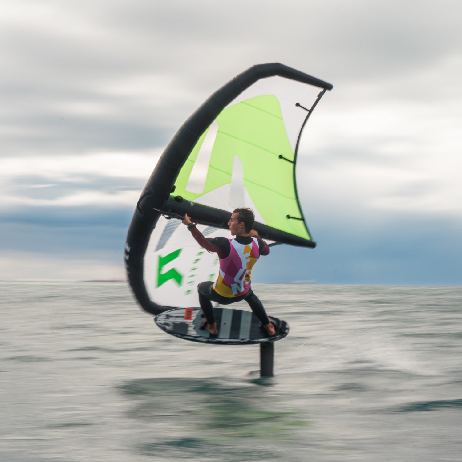 Race Mode or Fun Mode. Wetever - ReptileSports